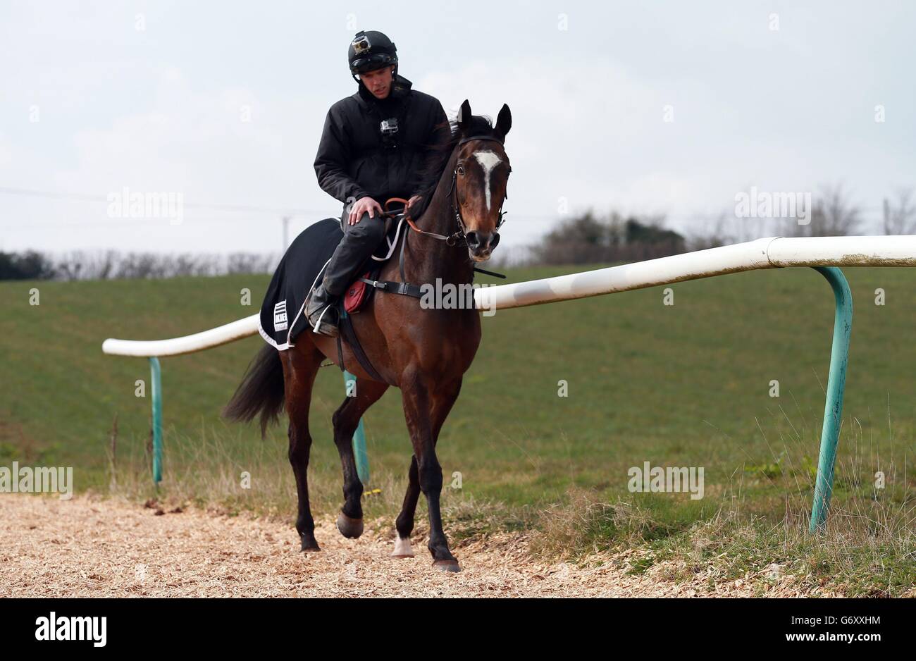 Horse Racing - Michael Scudamore Stable Visit - Eccleswall Court ...