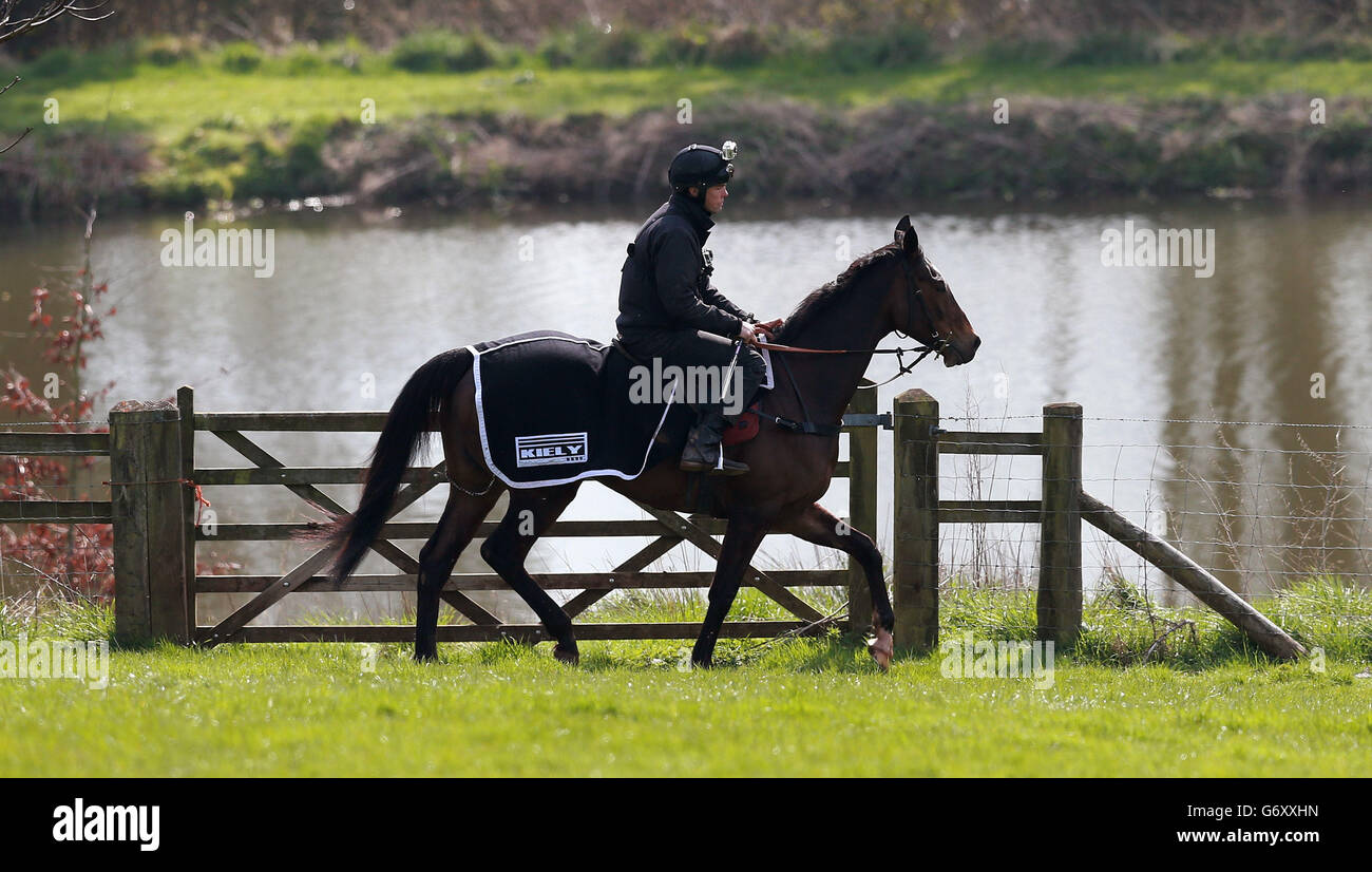 Michael Scudamore High Resolution Stock Photography and Images - Alamy