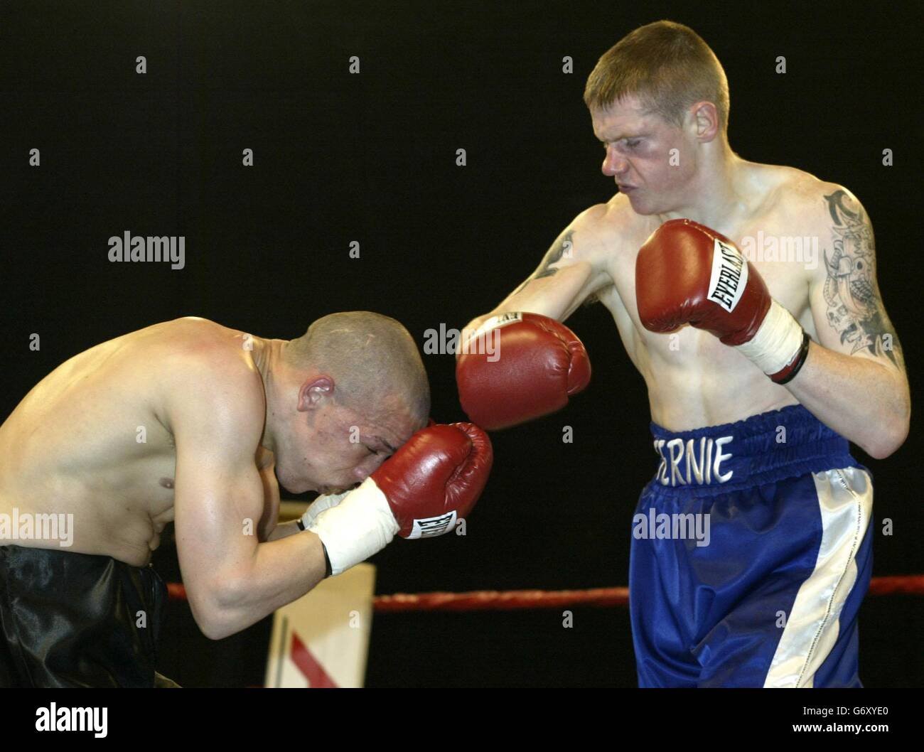 Ferrans hi-res stock photography and images - Alamy