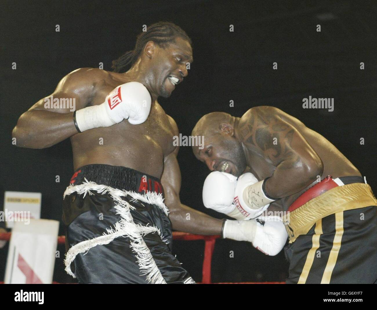WBF World Heavyweight Championship Stock Photo - Alamy