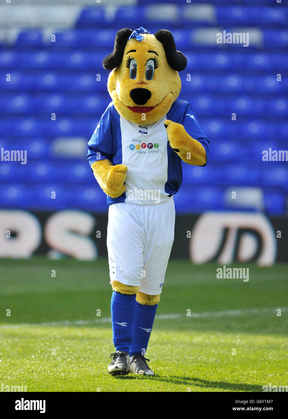 Bournemouth mascot hi-res stock photography and images - Alamy