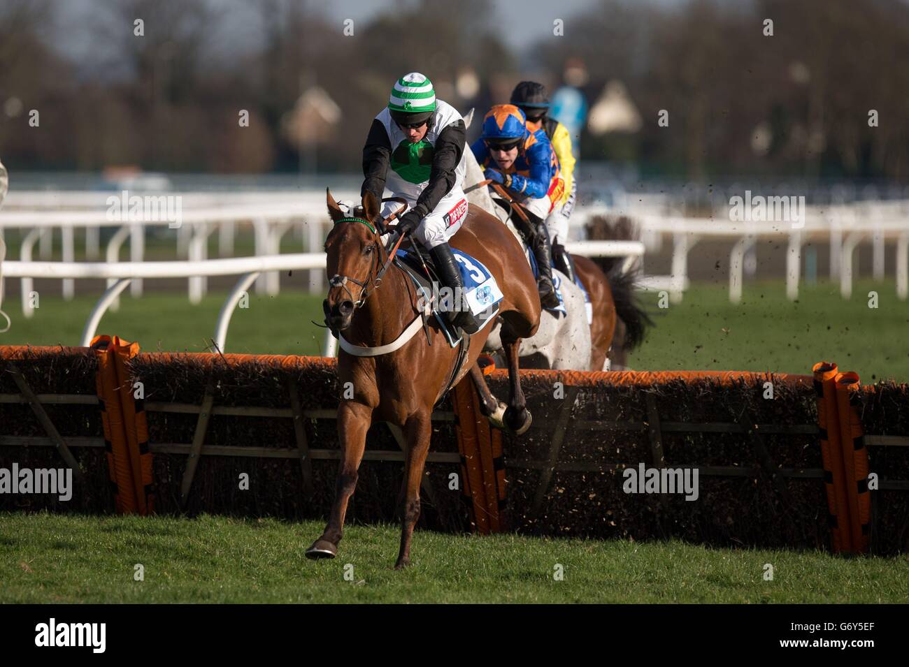 Silver cups hi-res stock photography and images - Alamy