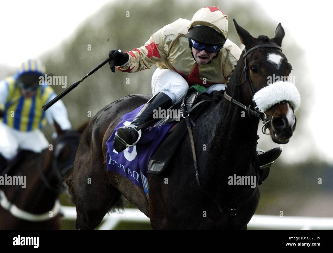 Perth race course hi-res stock photography and images - Alamy
