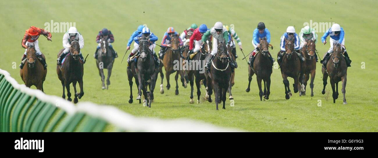 Newmarket rowley mile course hi-res stock photography and images - Alamy