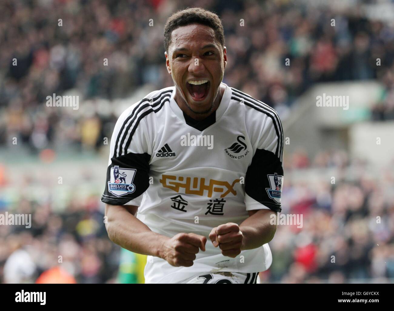Swansea City's Jonathan de Guzman celebrates scoring his second goal ...