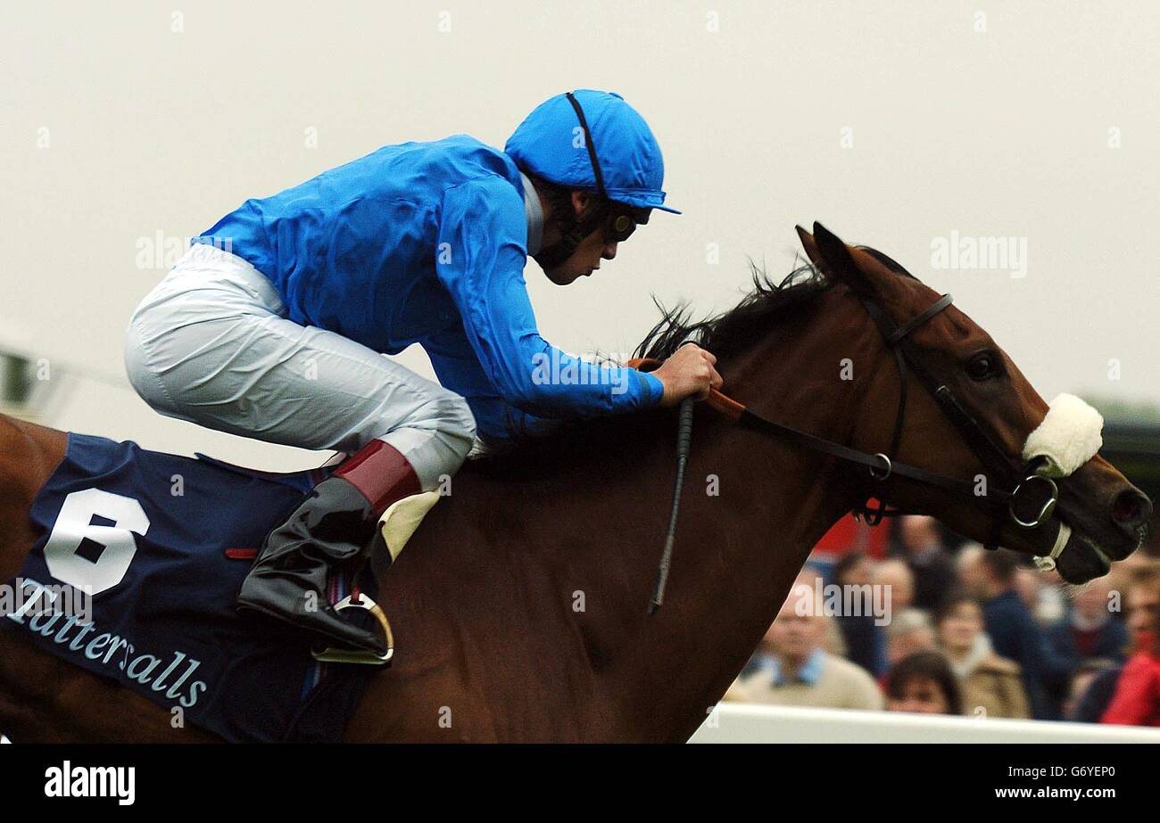 Punctilious hi-res stock photography and images - Alamy