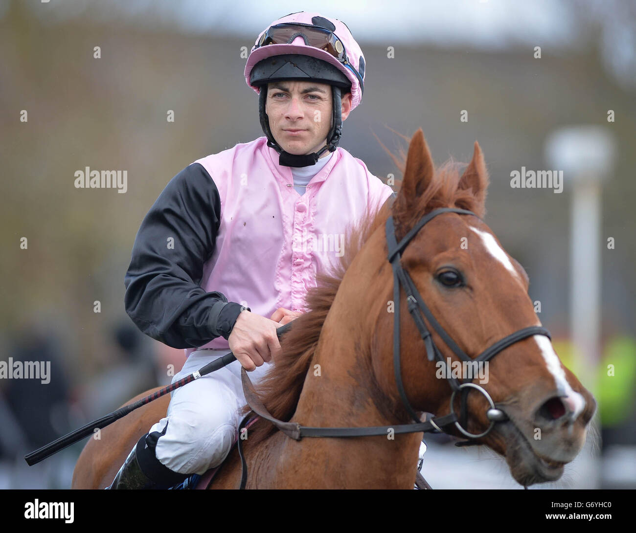 Wayne Lordan after winning The Trinity Racing Society Handicap on Great ...