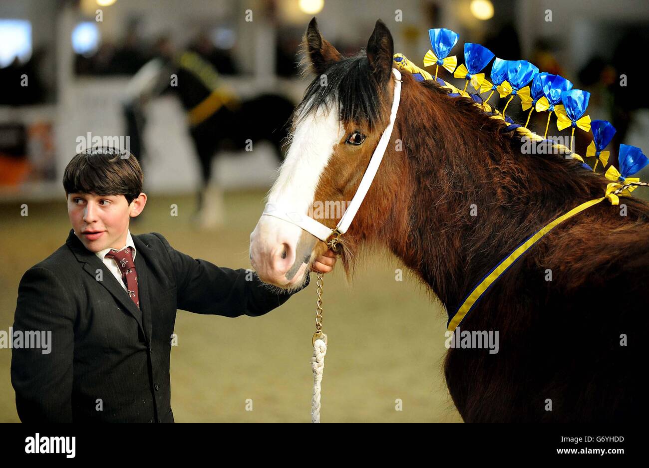 Shire horse show hi-res stock photography and images - Alamy