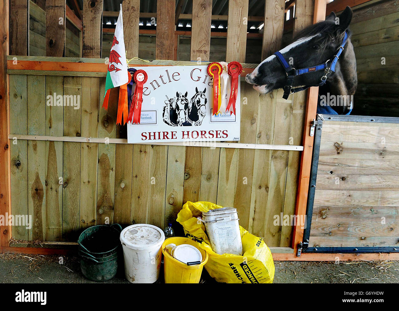 Horse Stall Decoration Ideas