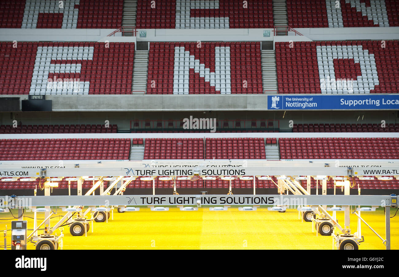 A general view of Turf Lighting Solutions lights being used on the ...