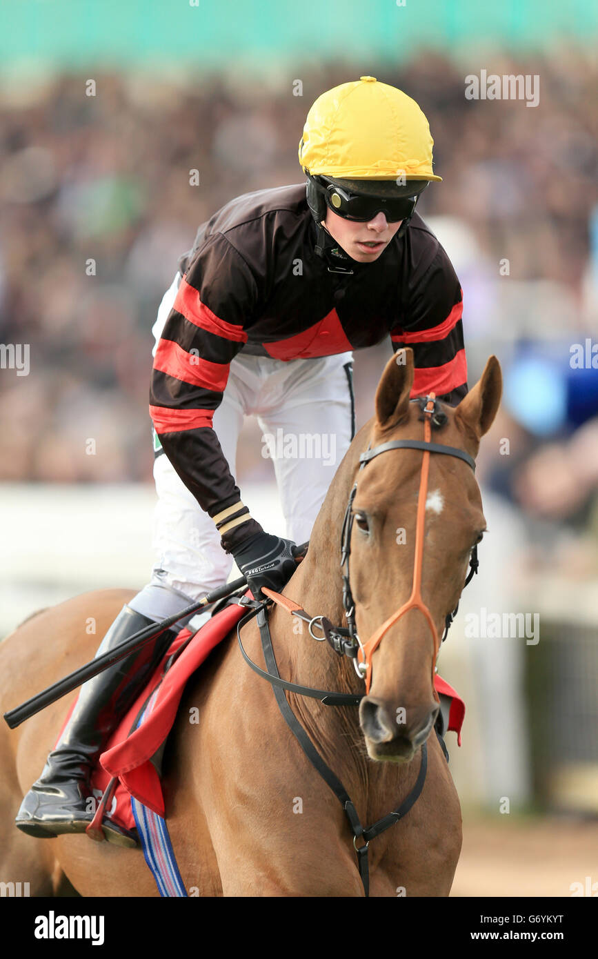 Jockey conor shoemark hi-res stock photography and images - Alamy