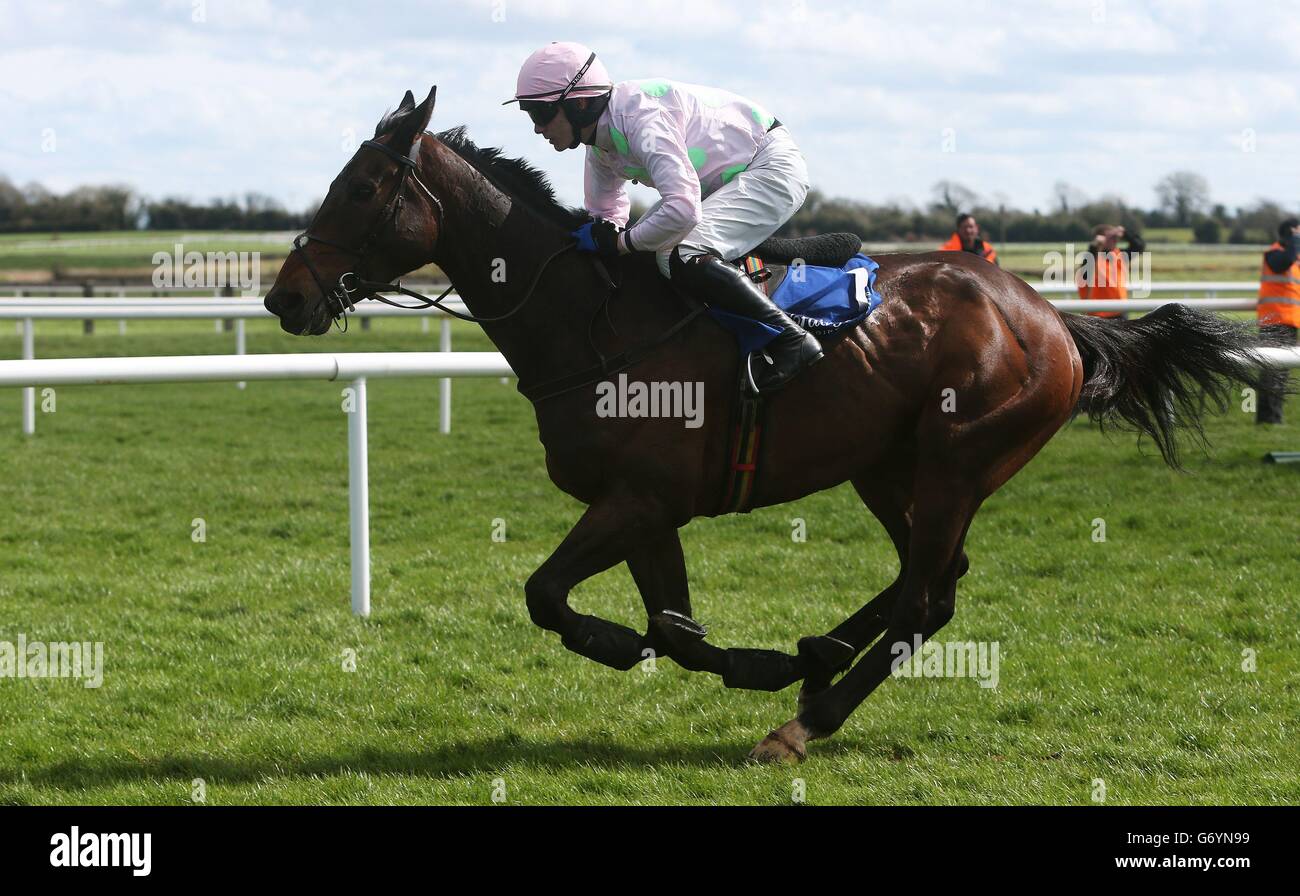 Horse Racing - EBF Mares Novices Hurdle Final Day - Fairyhouse ...
