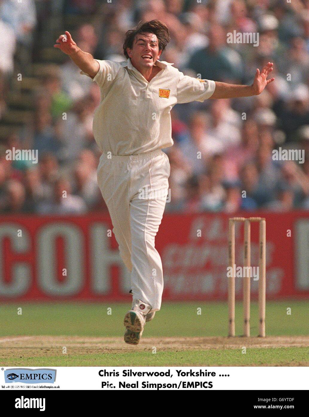 Cricket. Chris Silverwood, Yorkshire Stock Photo - Alamy