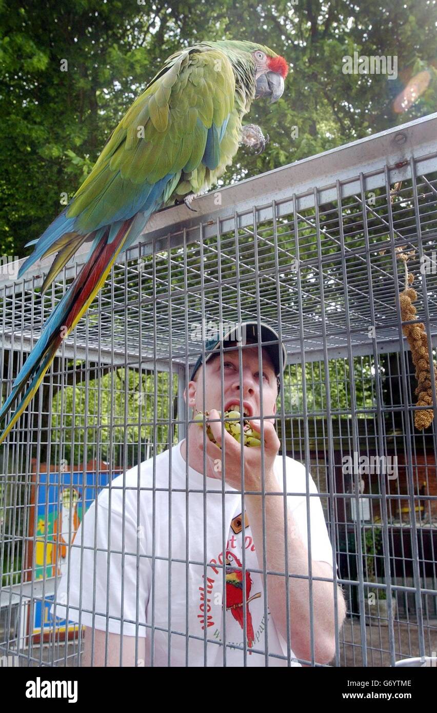 Giant bird cage at Longleat Safari Park Stock Photo - Alamy