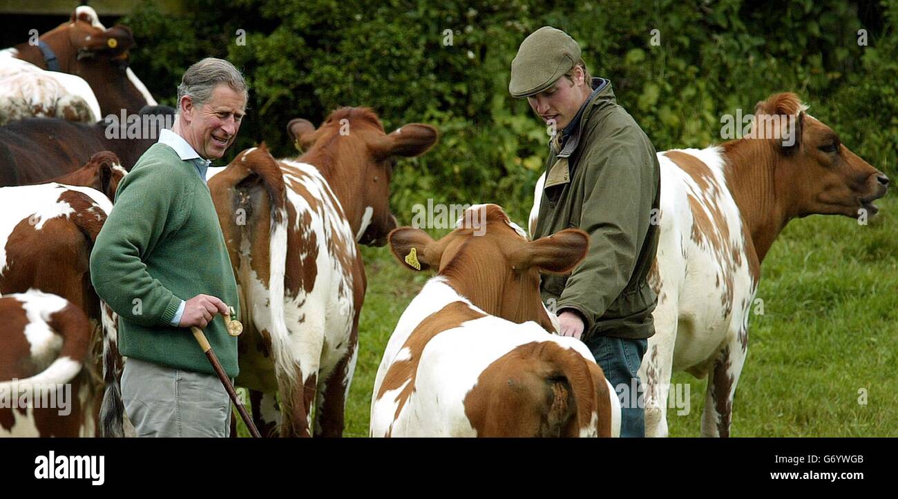 Prince William talks to his father, the Prince of Wales on his father's ...