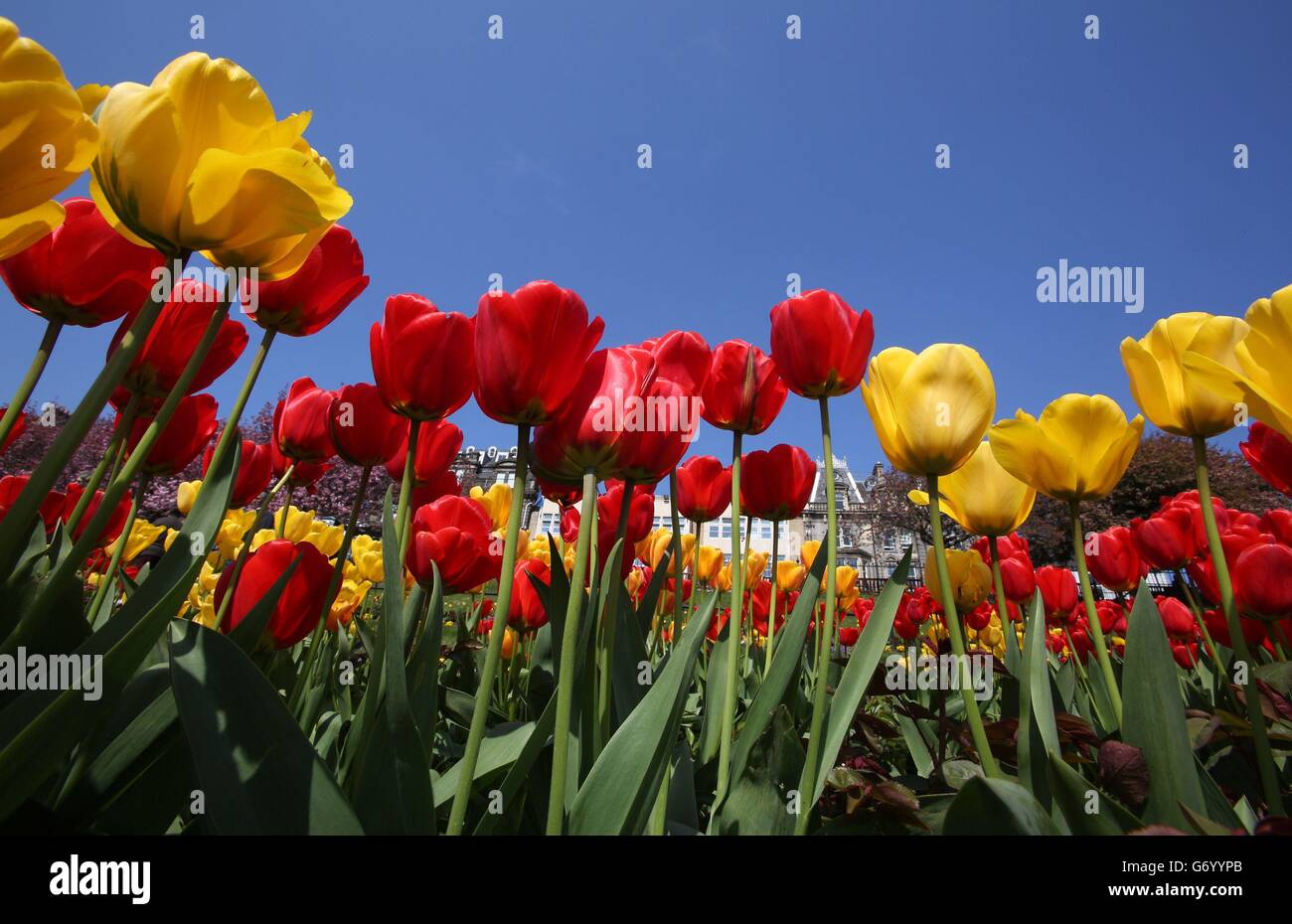 Wettest spring england hi-res stock photography and images - Alamy
