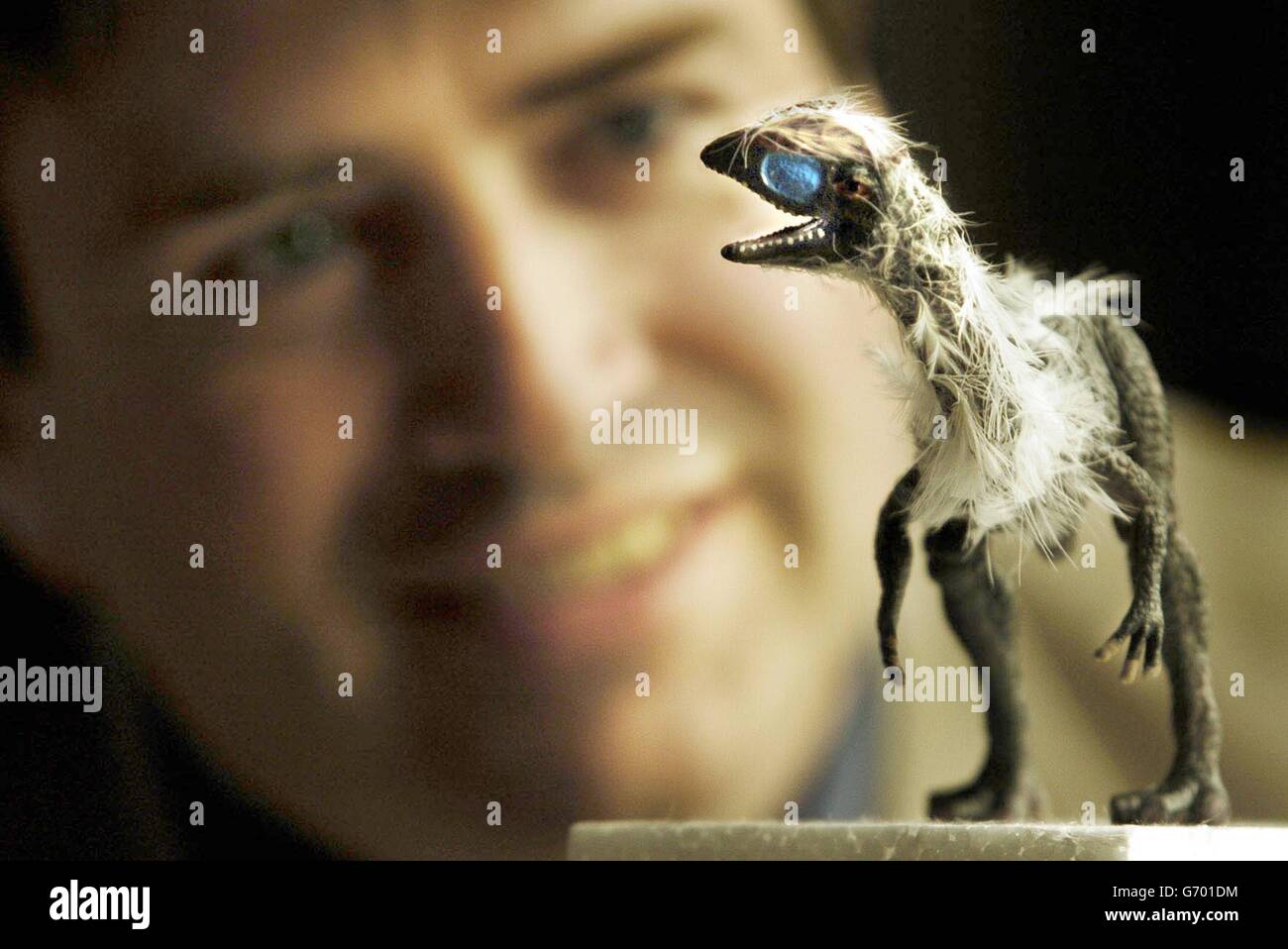 Palaeontologist Dr Neil Clark looks at a model of Coelophysis in the ...