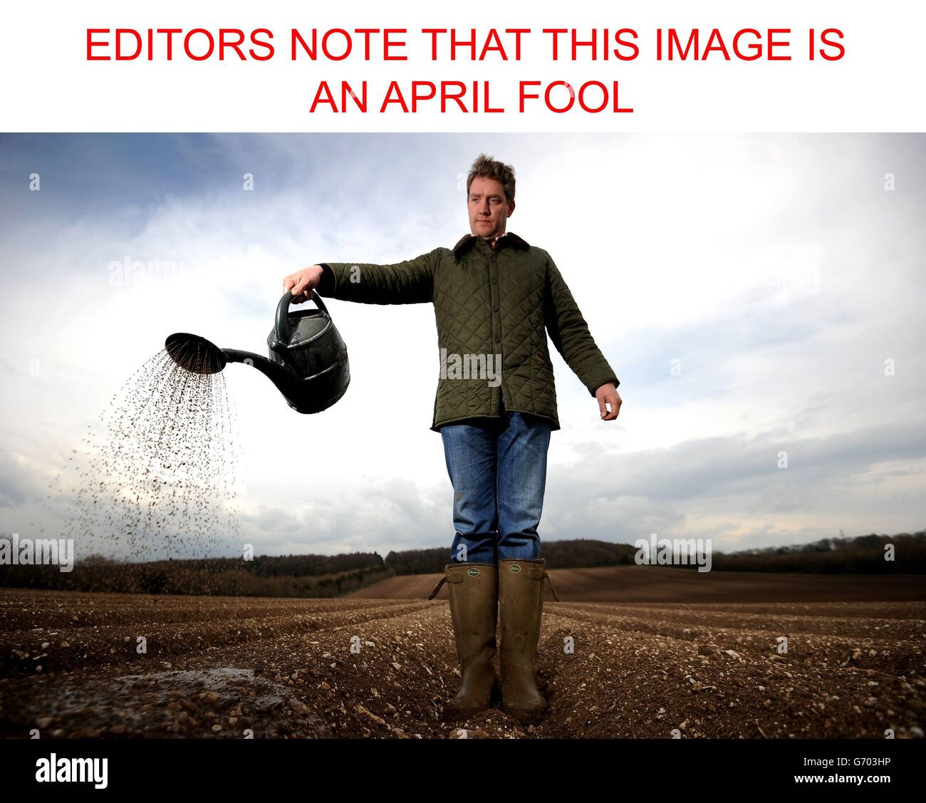 S first guinness flavoured potatoes hi-res stock photography and images ...