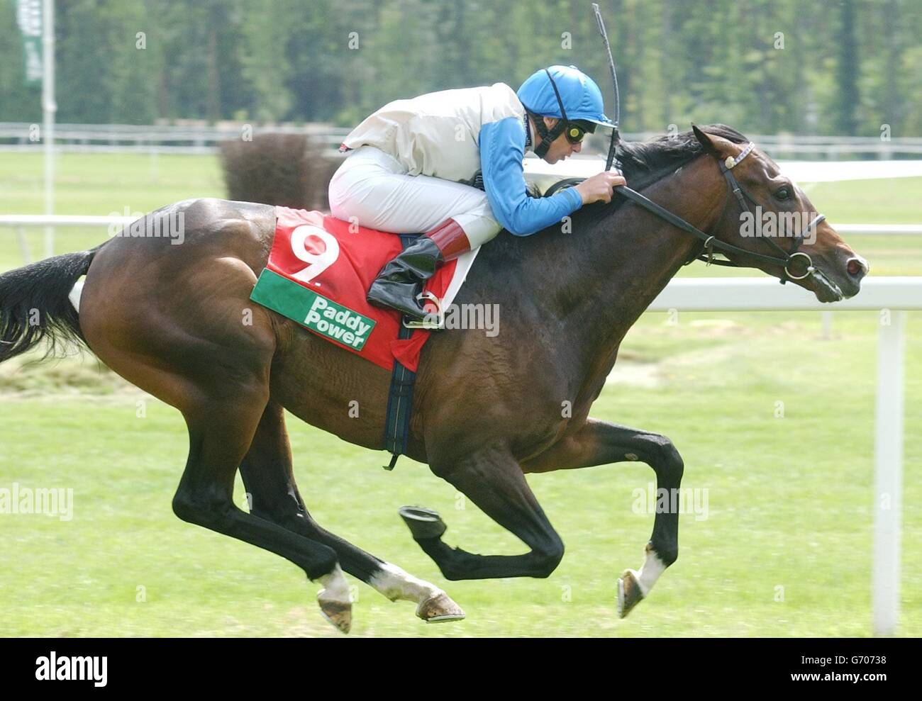 London Paddy Power Gold Cup at Newbury Stock Photo - Alamy