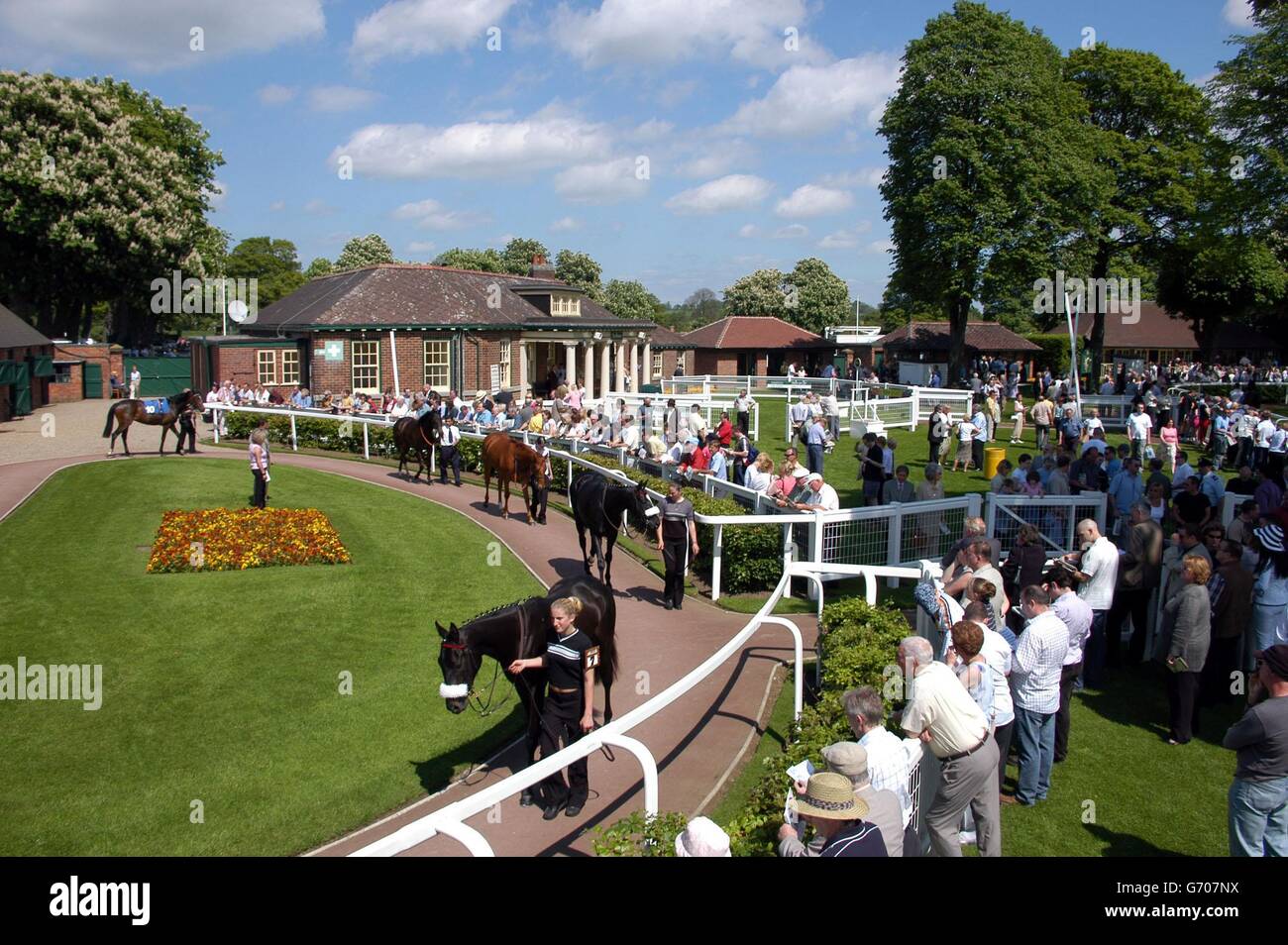 Ripon Race Meeting Stock Photo - Alamy