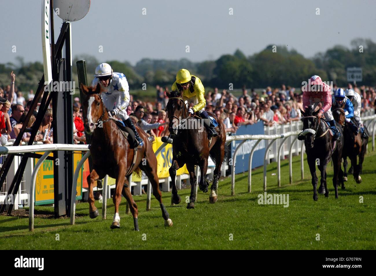 Ripon Race Meeting Stock Photo - Alamy