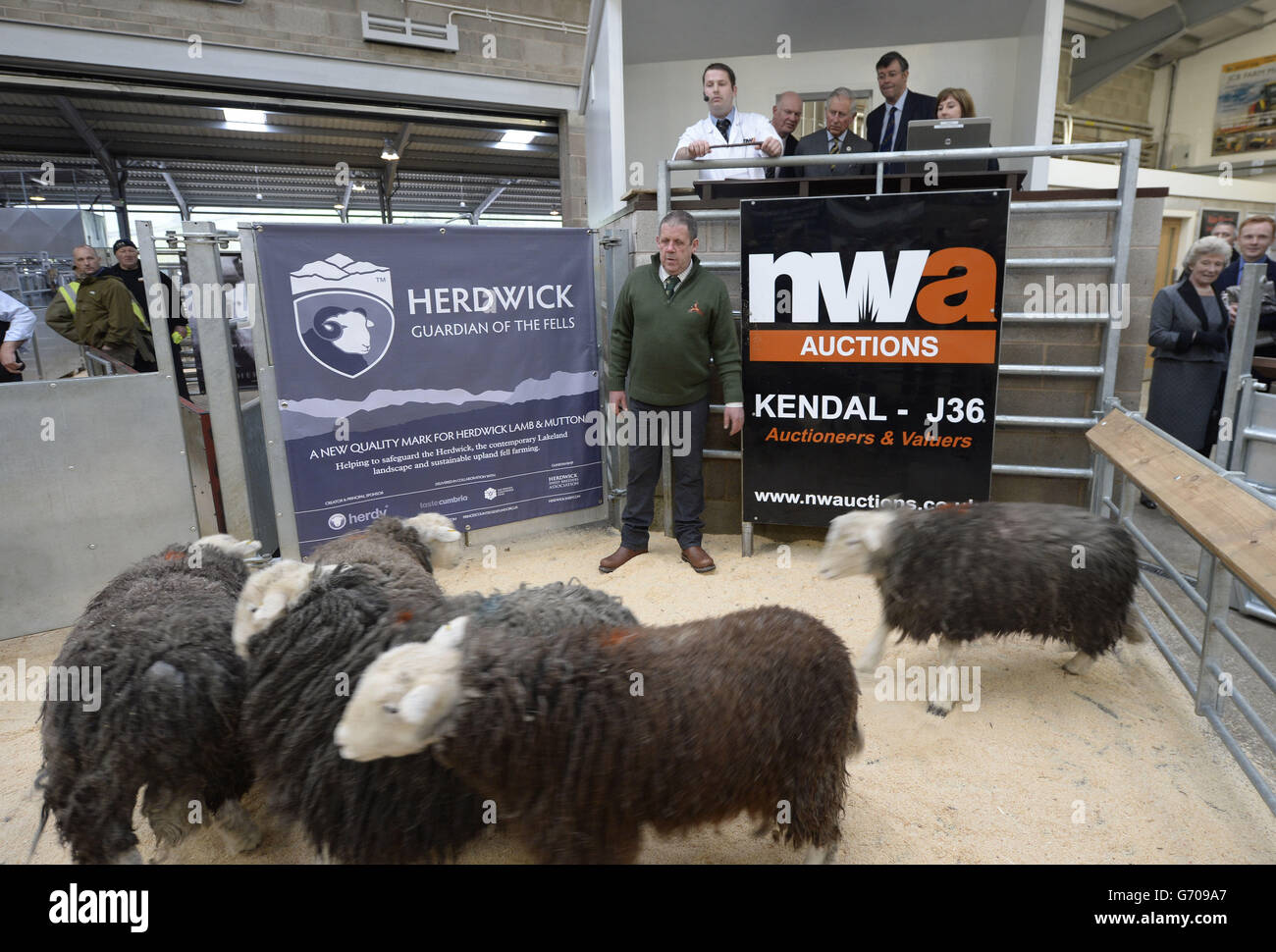 The Prince of Wales (back centre) visits the J36 Rural Auction Centre ...