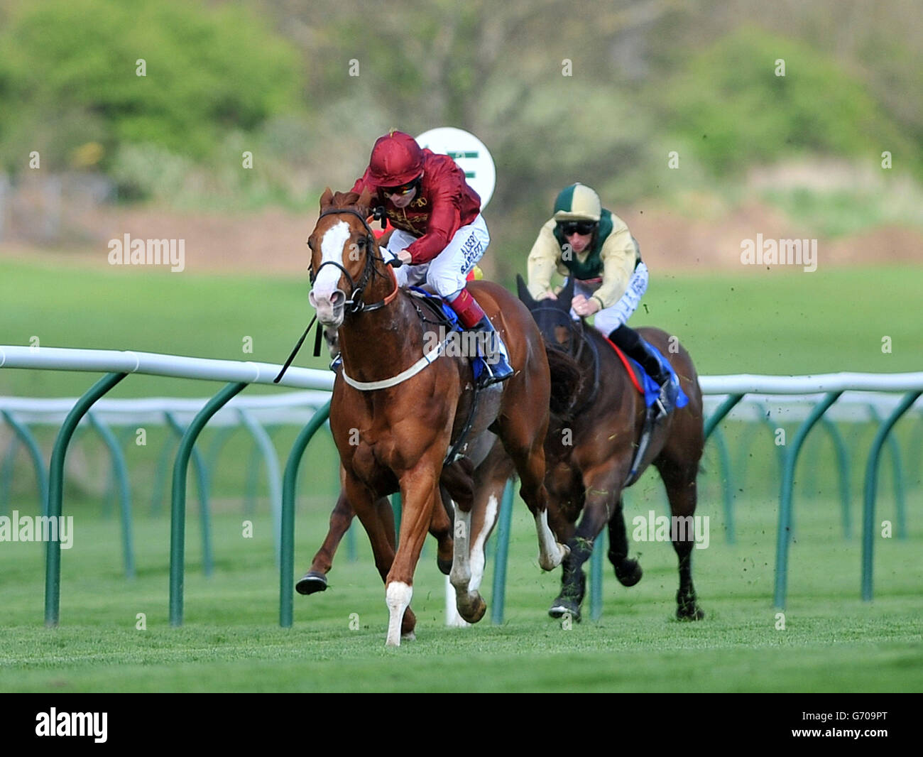 Jamie faulkner hi-res stock photography and images - Alamy