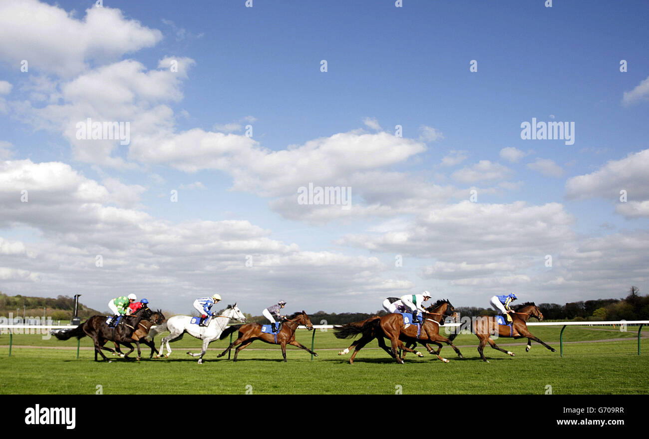 Runners and Riders during The totepool EBF Stallions Barry Hills ...