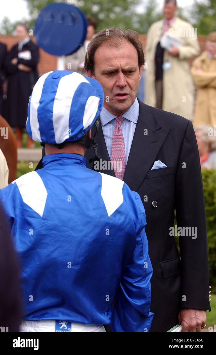 Angus Gold Newmarket Stock Photo - Alamy