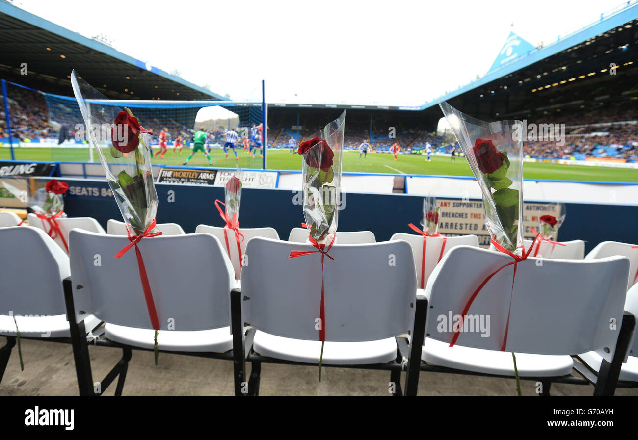 96 blue seats at the Leppings Lane end of Hillsborough are replaced by ...