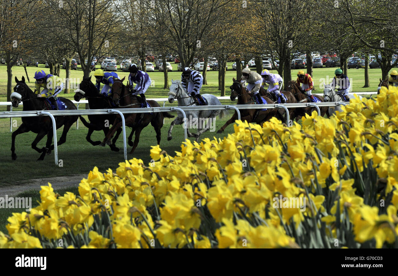 Pontefract park hi-res stock photography and images - Alamy