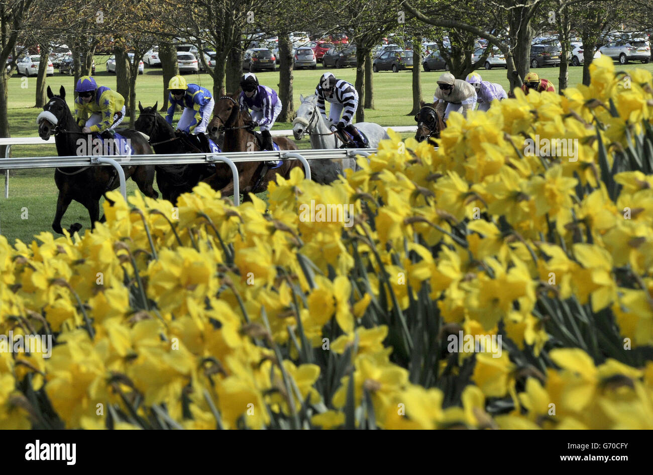 Pontefract park hi-res stock photography and images - Alamy