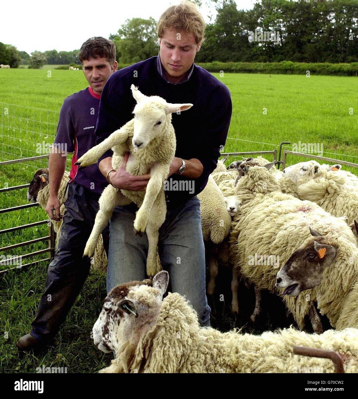 Prince William at Duchy Home Farm Stock Photo - Alamy