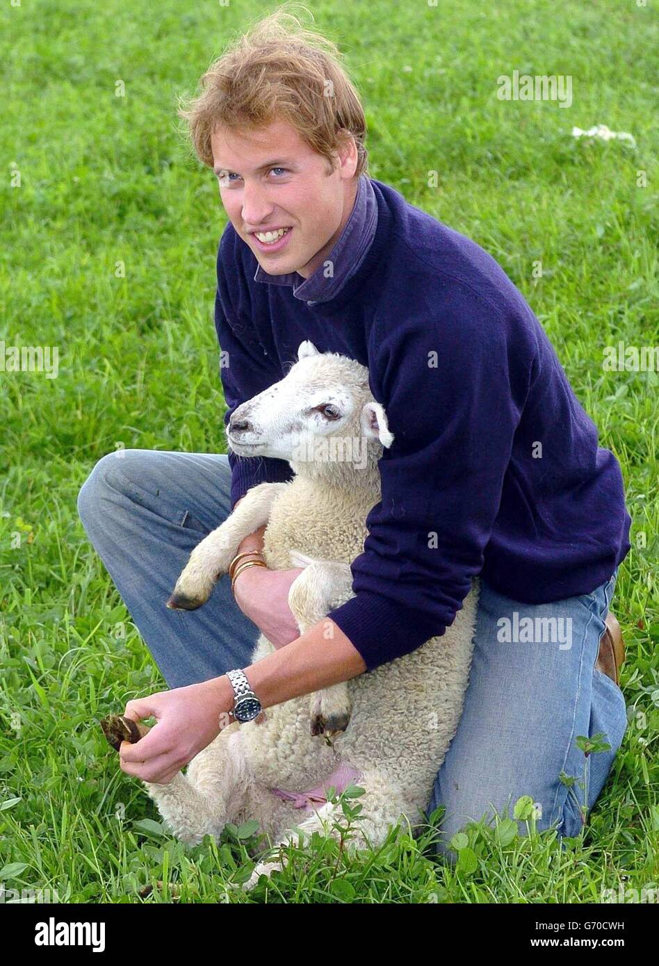 Prince William at Duchy Home Farm. Prince William tries his hand at ...
