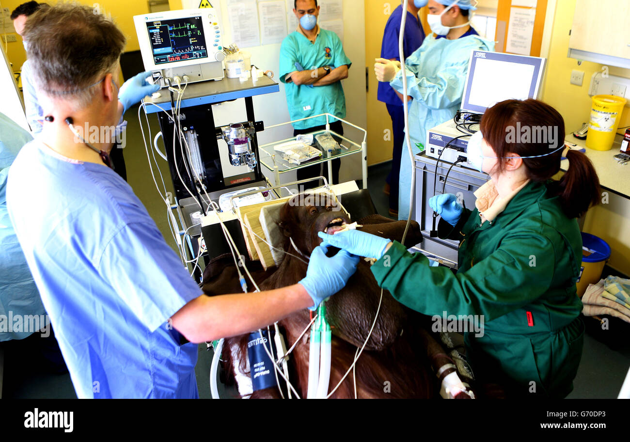 Jawed Tahery from Nuffield Health The Grosvenor Hospital in Chester and ...