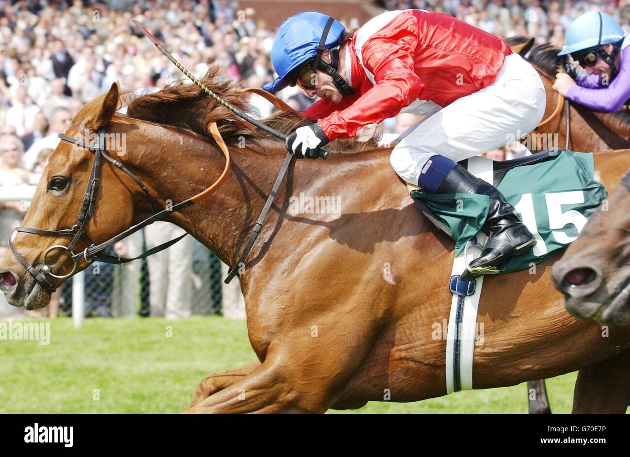 Russian rhythm horse hi-res stock photography and images - Alamy