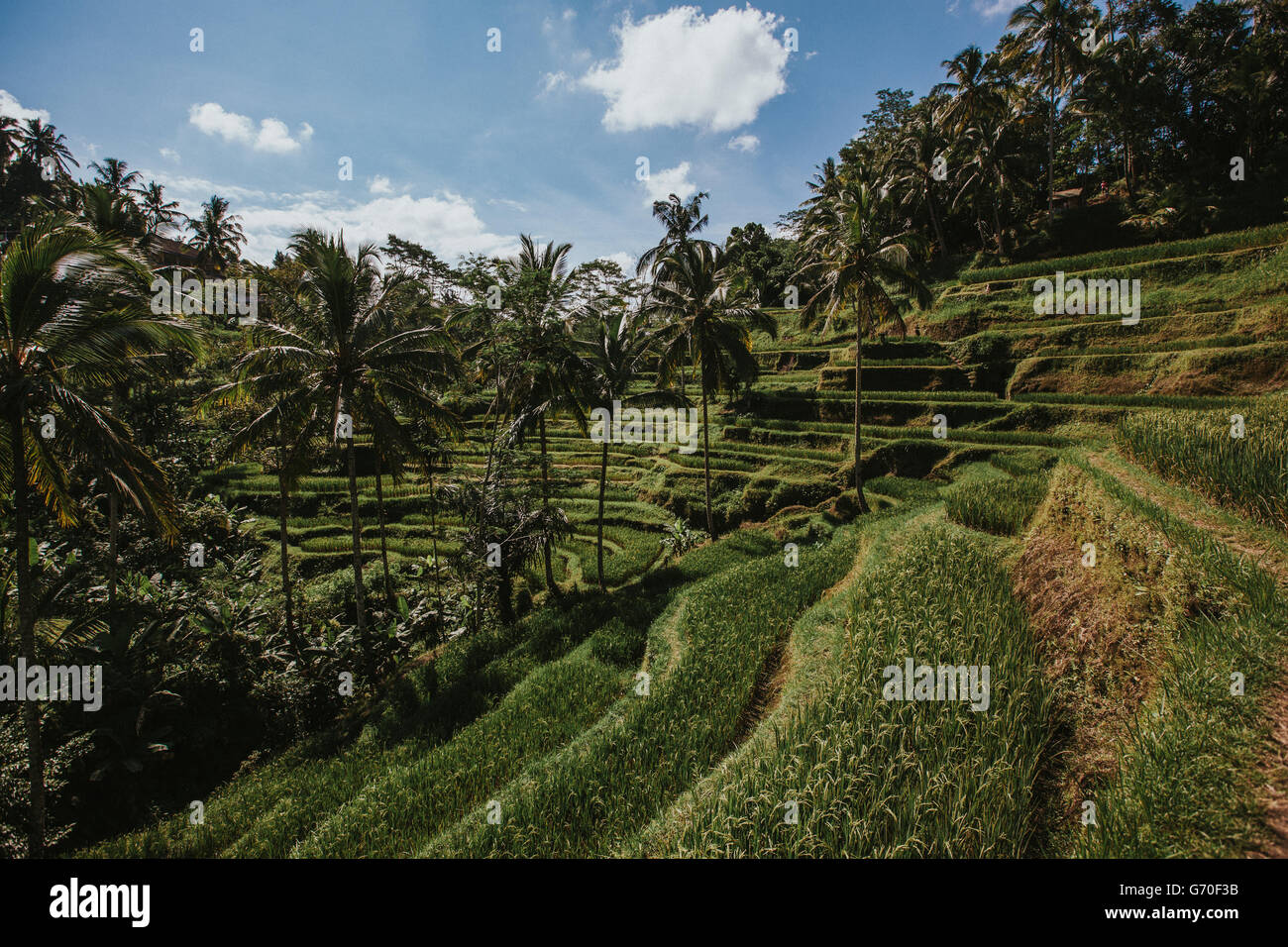 Bali tourist destination hi-res stock photography and images - Alamy