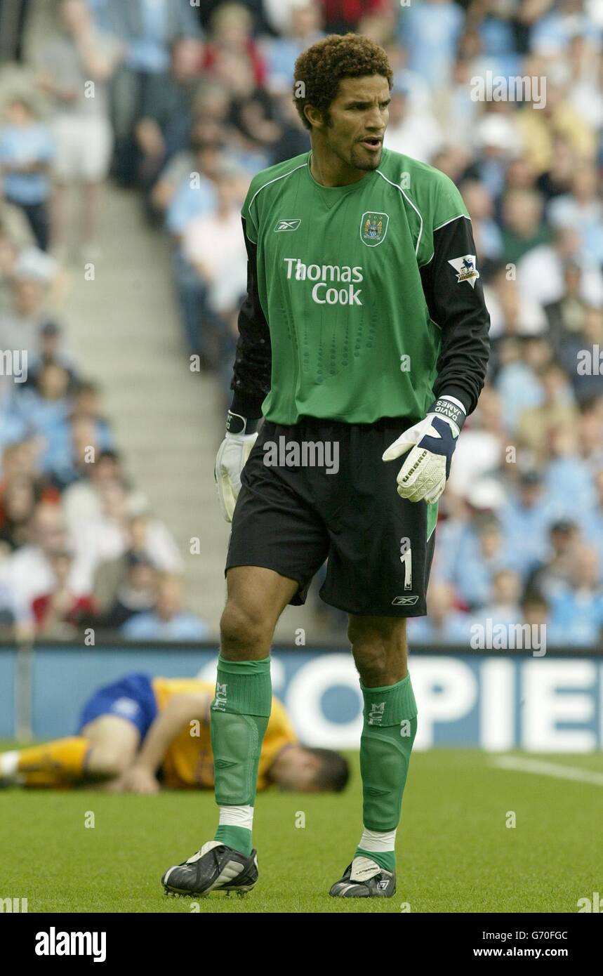 Manchester citys david james hi-res stock photography and images - Alamy