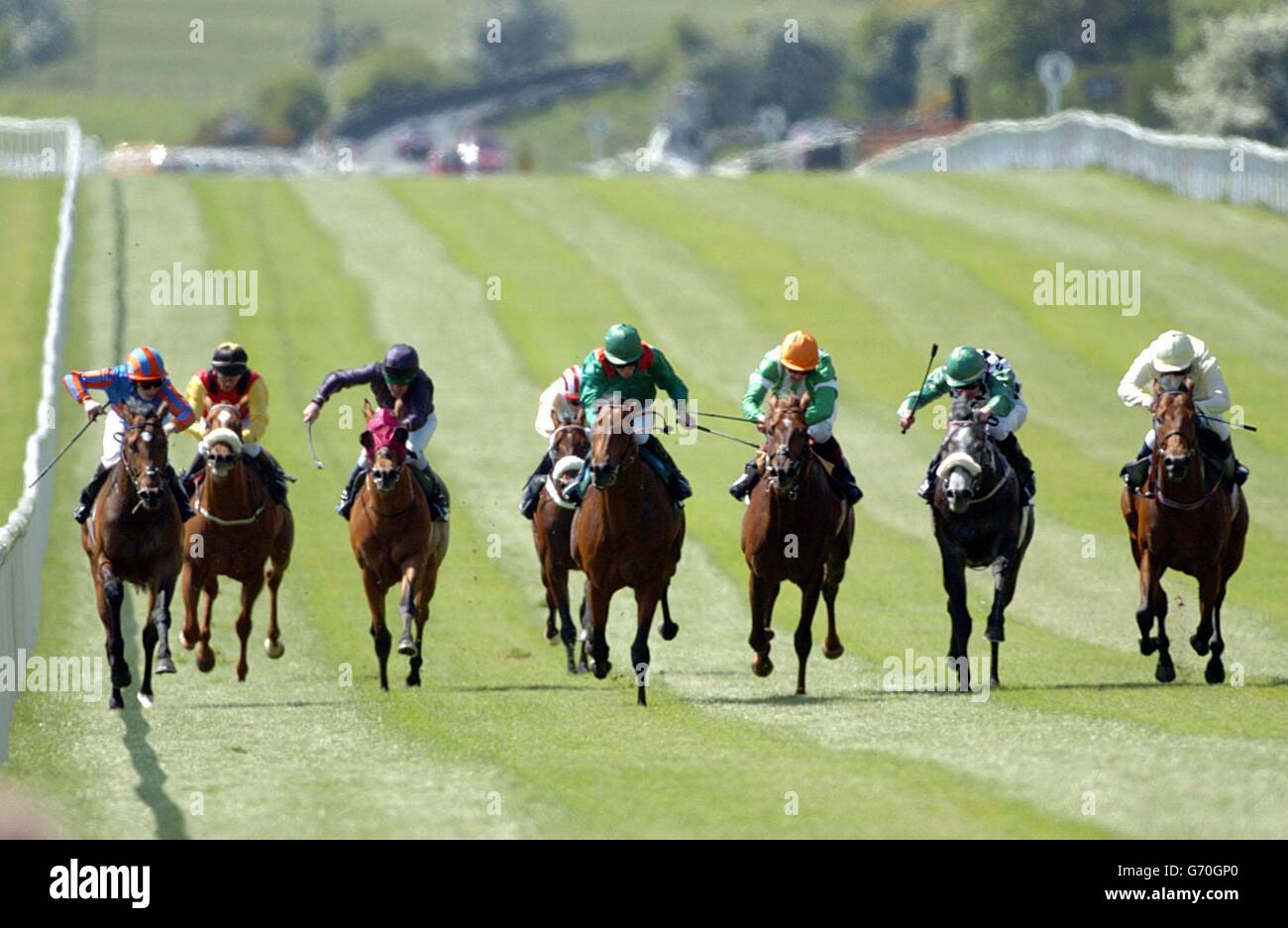 (left to right) Grand Reward, Hayburn Street, Newton, Amarula Ridge ...