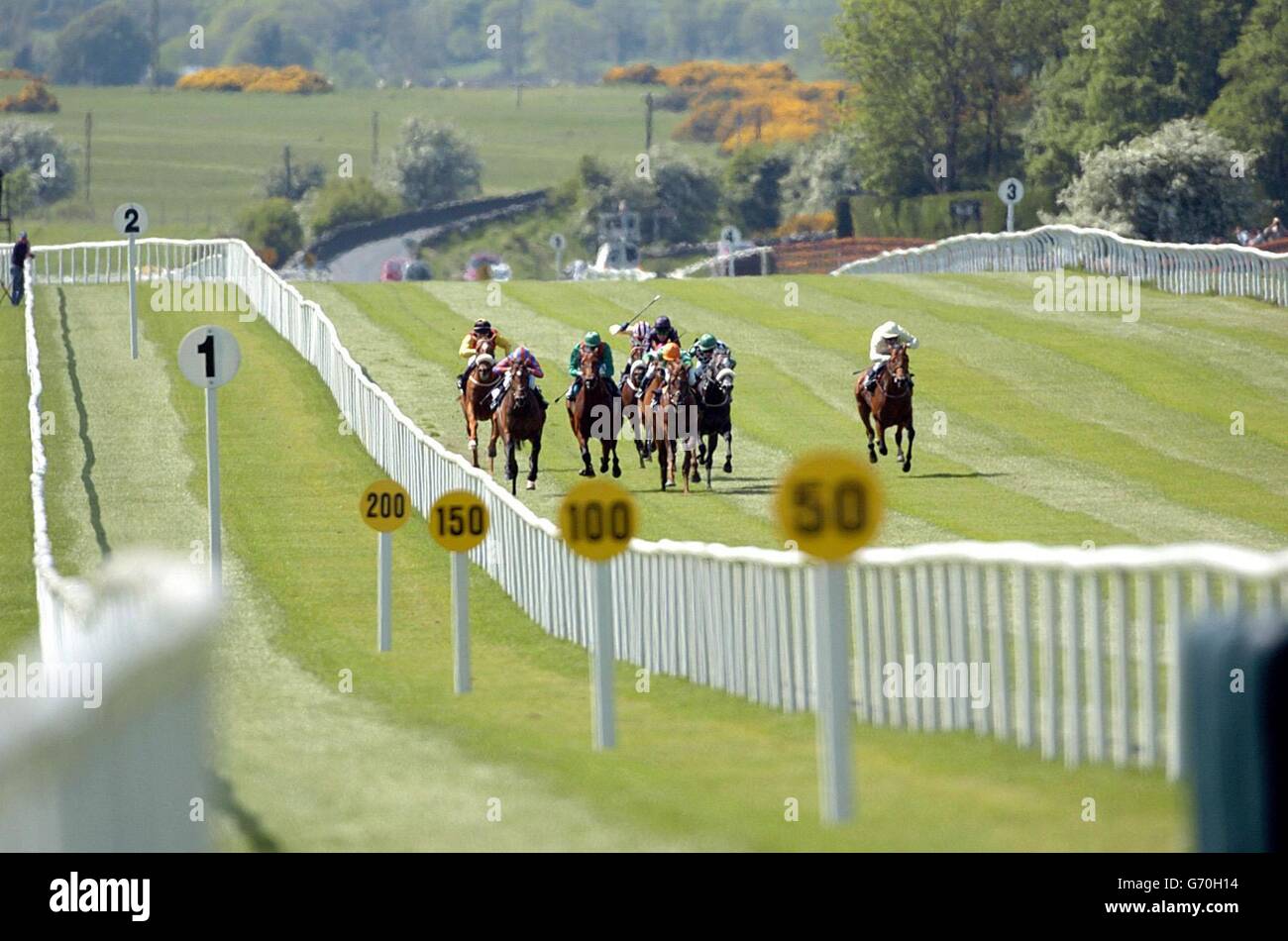 RACING AT THE CURRAGH Stock Photo - Alamy