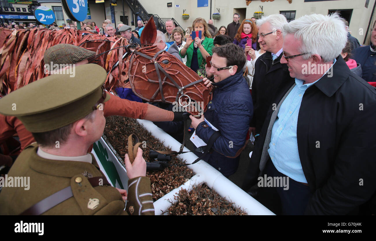 Joey the star of War Horse meets the public in the parade ring during ...
