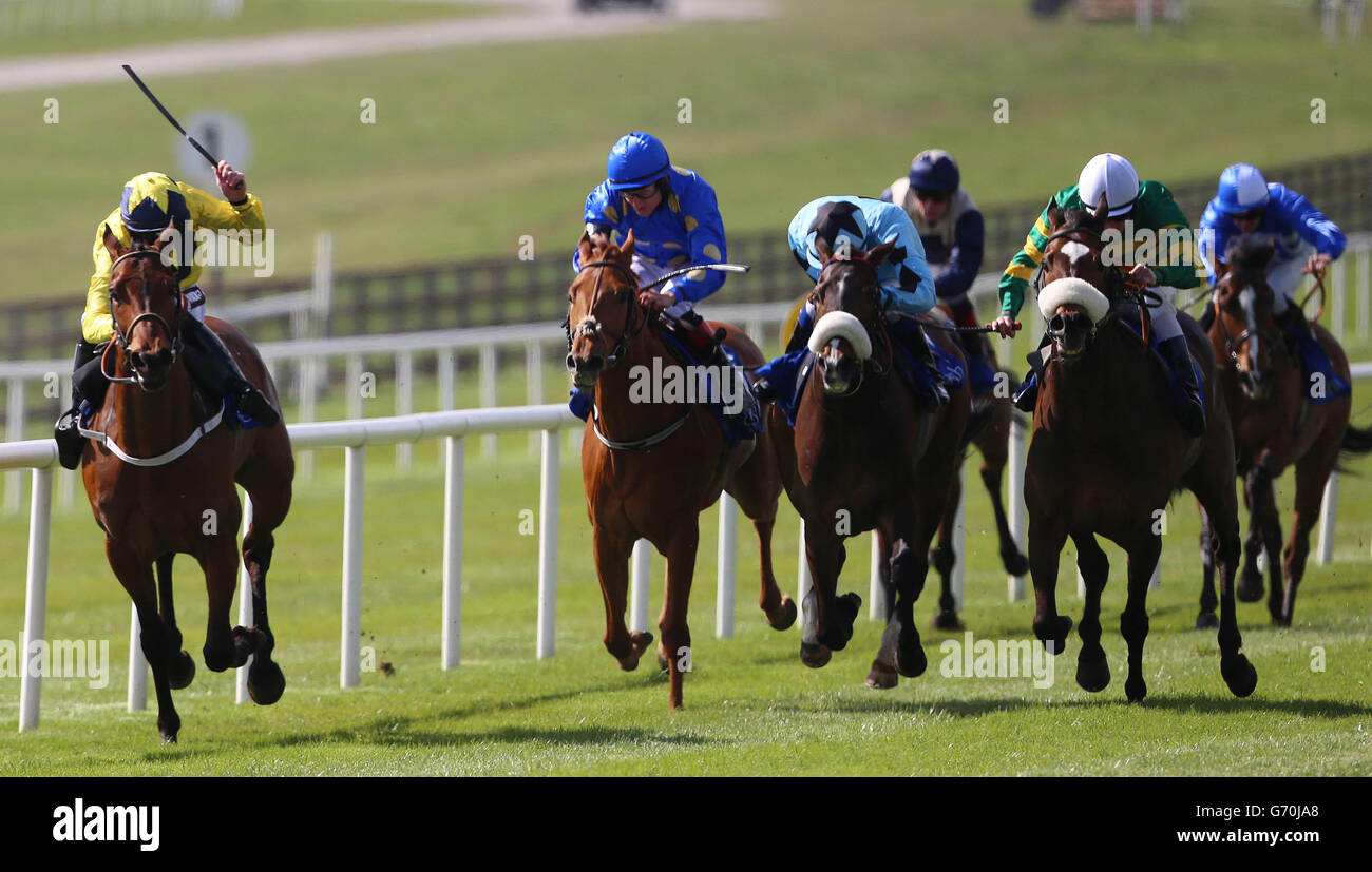 Big bad bob gladness stakes war horse race day hi-res stock photography ...