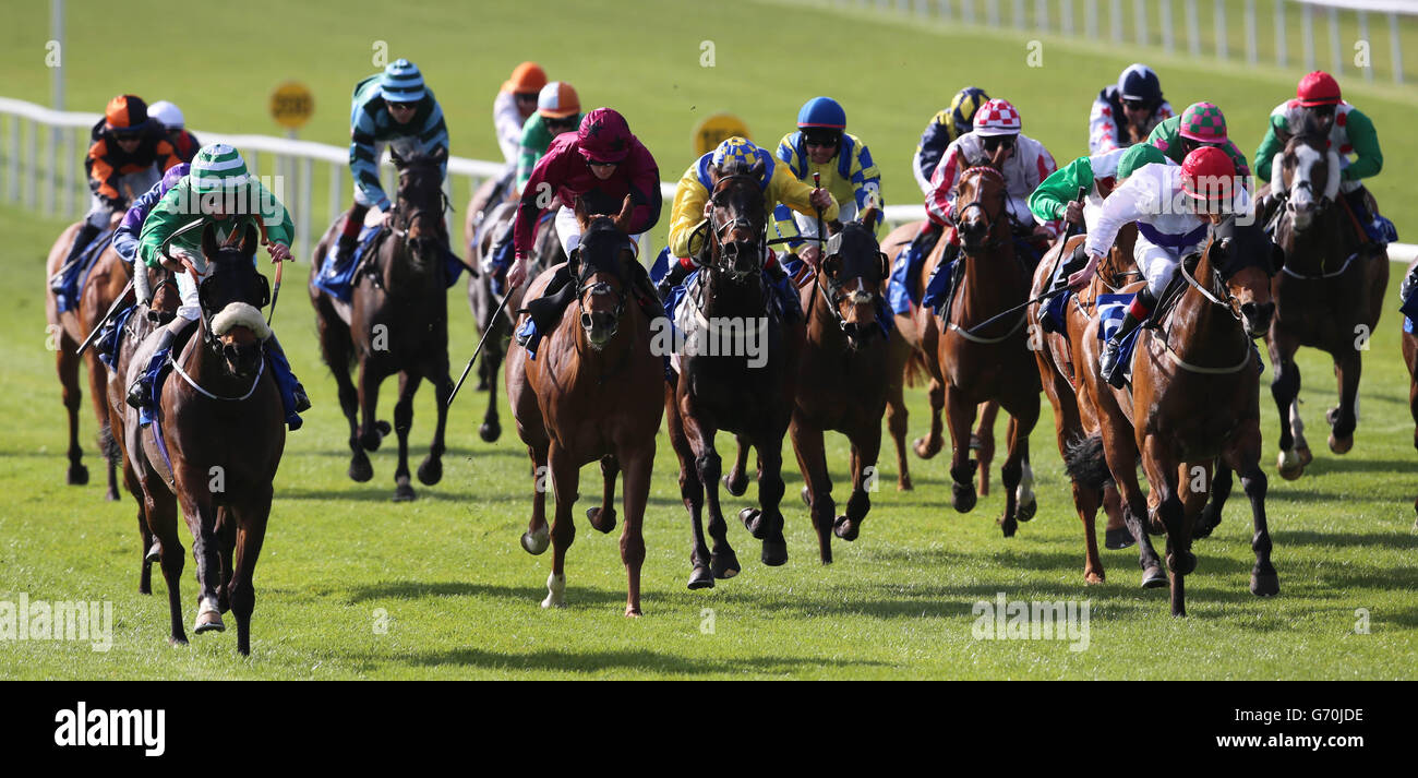 Horse Racing - Big Bad Bob Gladness Stakes/War Horse Race Day - The ...
