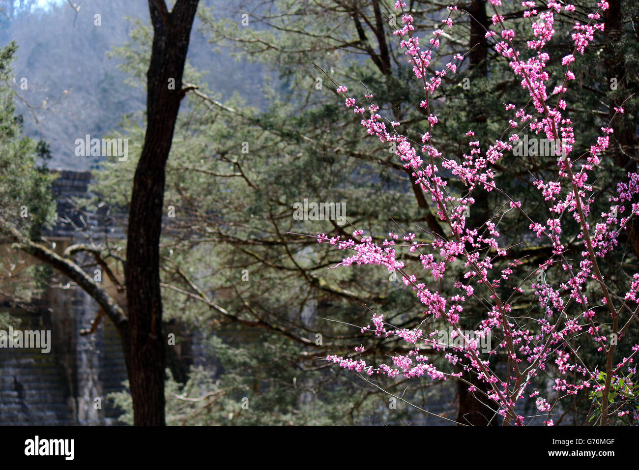 Spring at the dam hi-res stock photography and images - Alamy