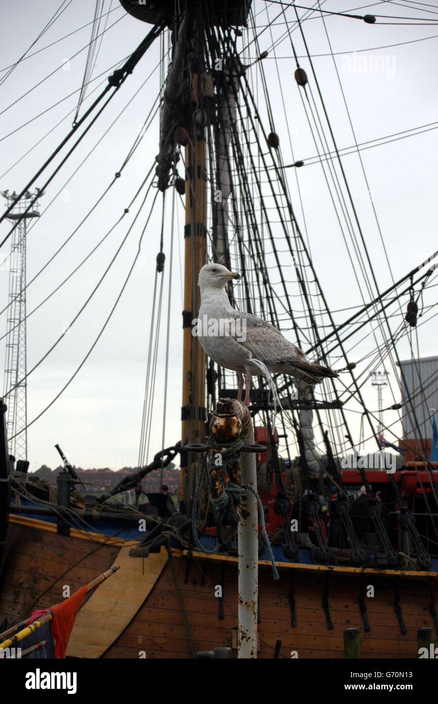 A seagull keeps watch over the HMS Endeavor in the harbour of the small ...