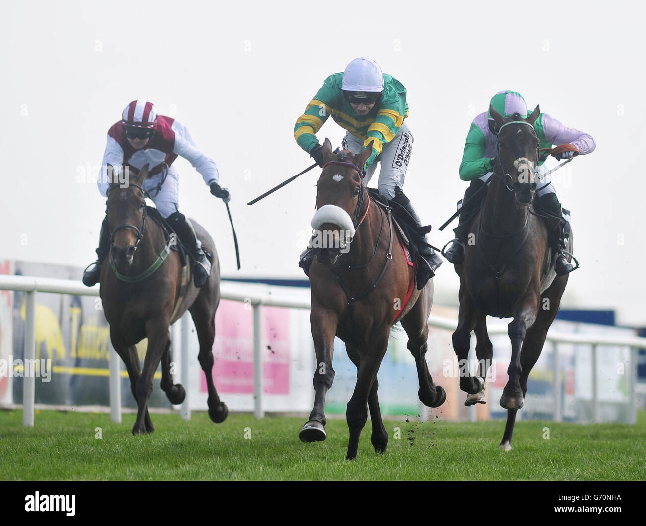 Jockey Nina Carberry and Free Expression (centre) on their way to ...