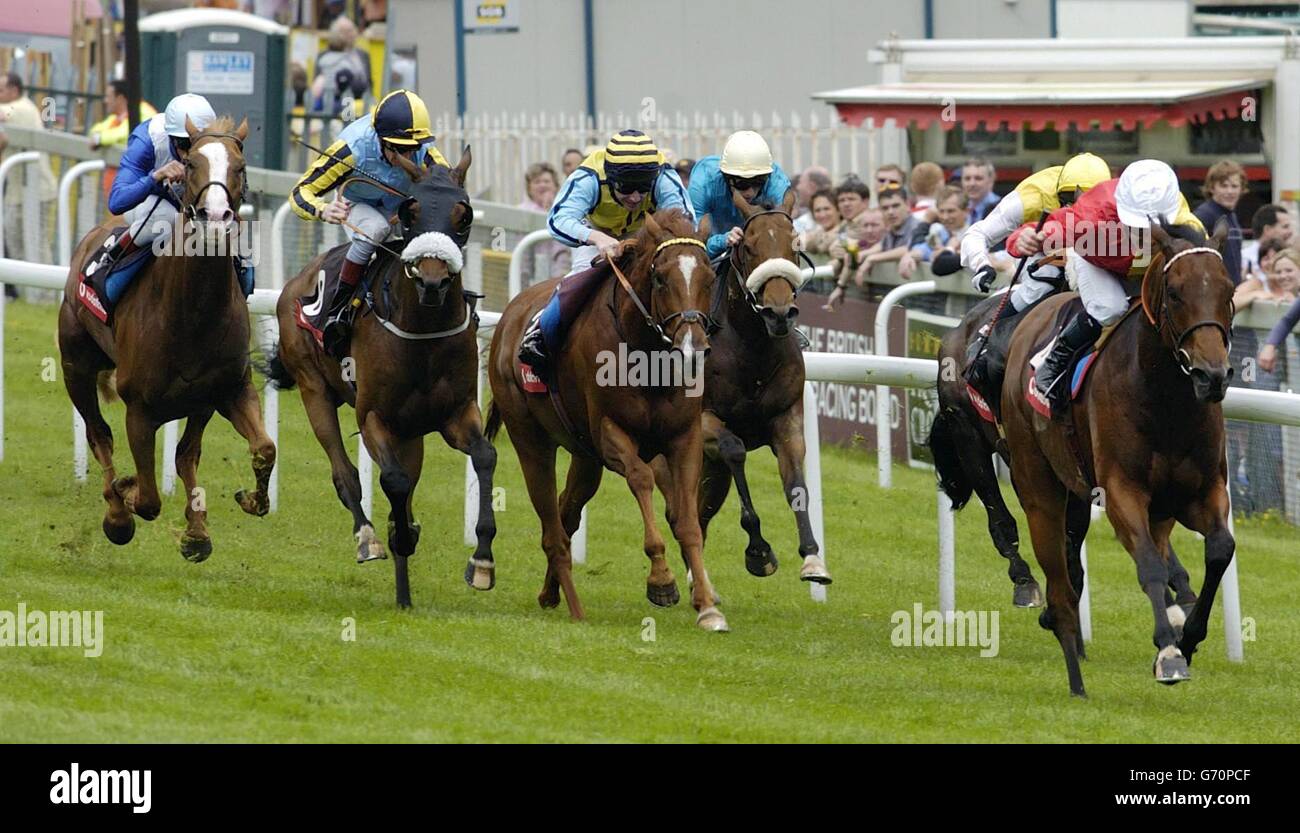 Racing From Epsom Stock Photo - Alamy