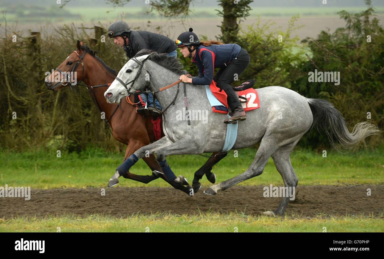 Horse Racing - Richard Hannon Stable Visit - Herridge Racing Stables ...