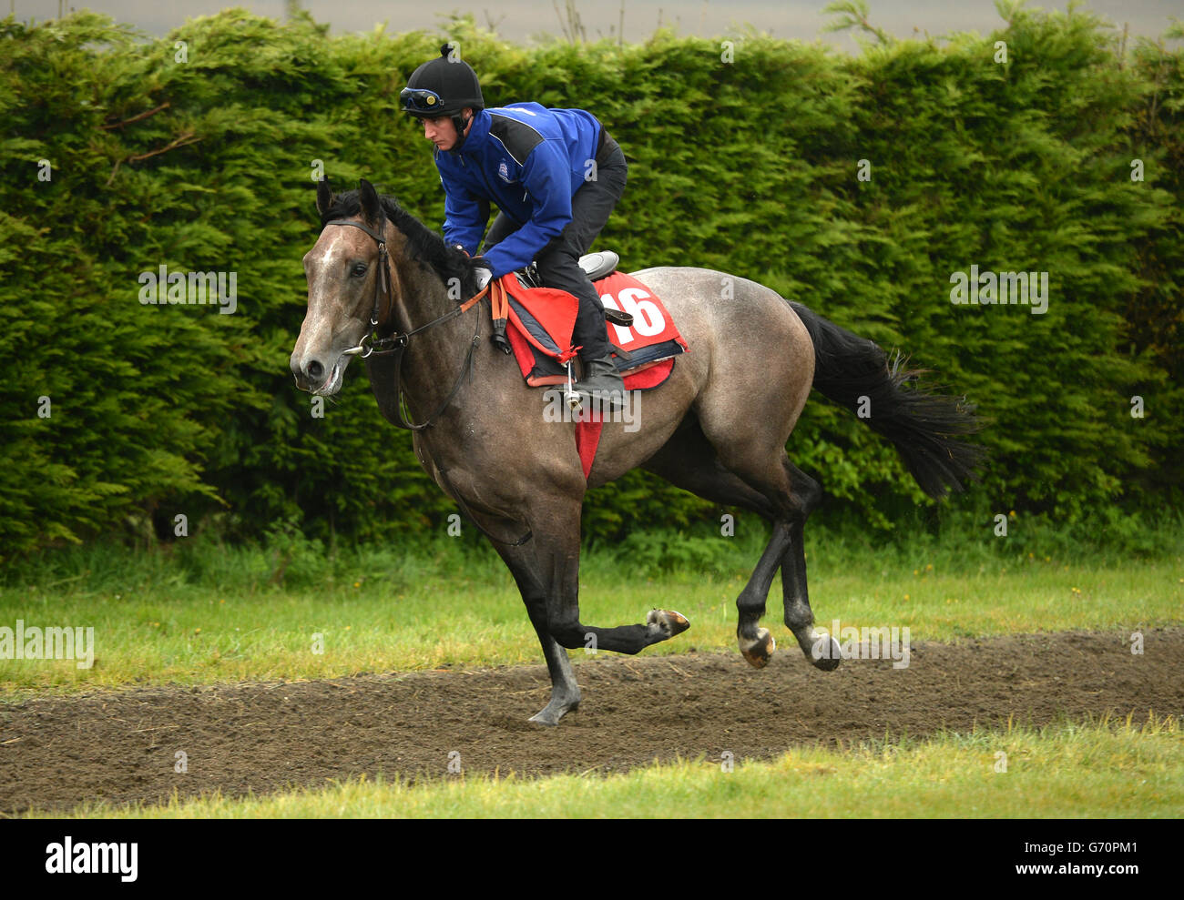 Herridge racing stables hi-res stock photography and images - Alamy