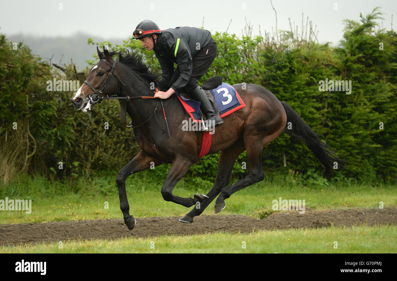 Herridge racing stables hi-res stock photography and images - Alamy